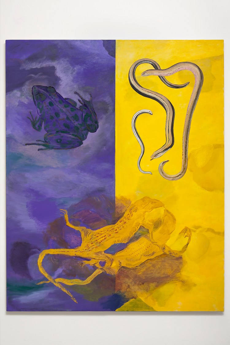 Allison Katz at Gió Marconi, Milan | Contemporary Art Library