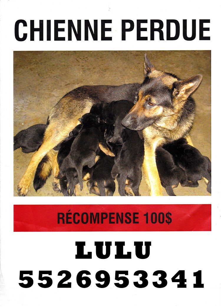 Allison Katz and Camilla Wills at Lulu, Mexico City | Contemporary Art ...