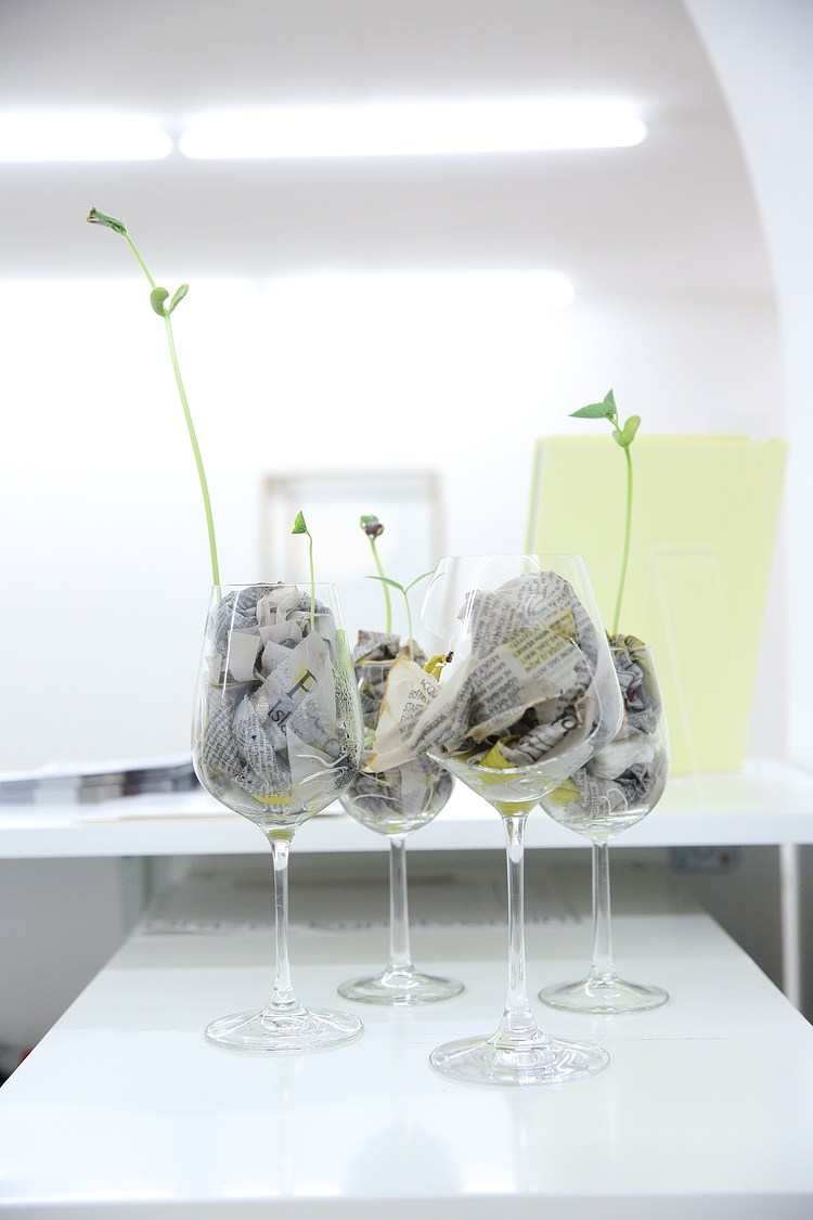 Nicolás Paris | Contemporary Art Library