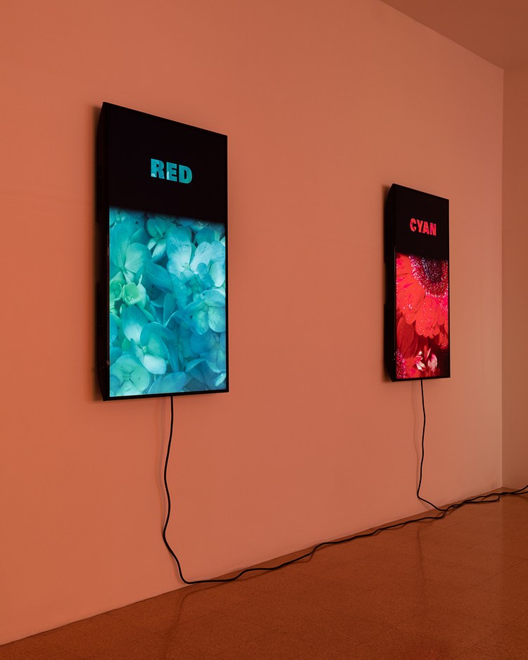 Diana Thater at 1301PE, Los Angeles | Contemporary Art Daily