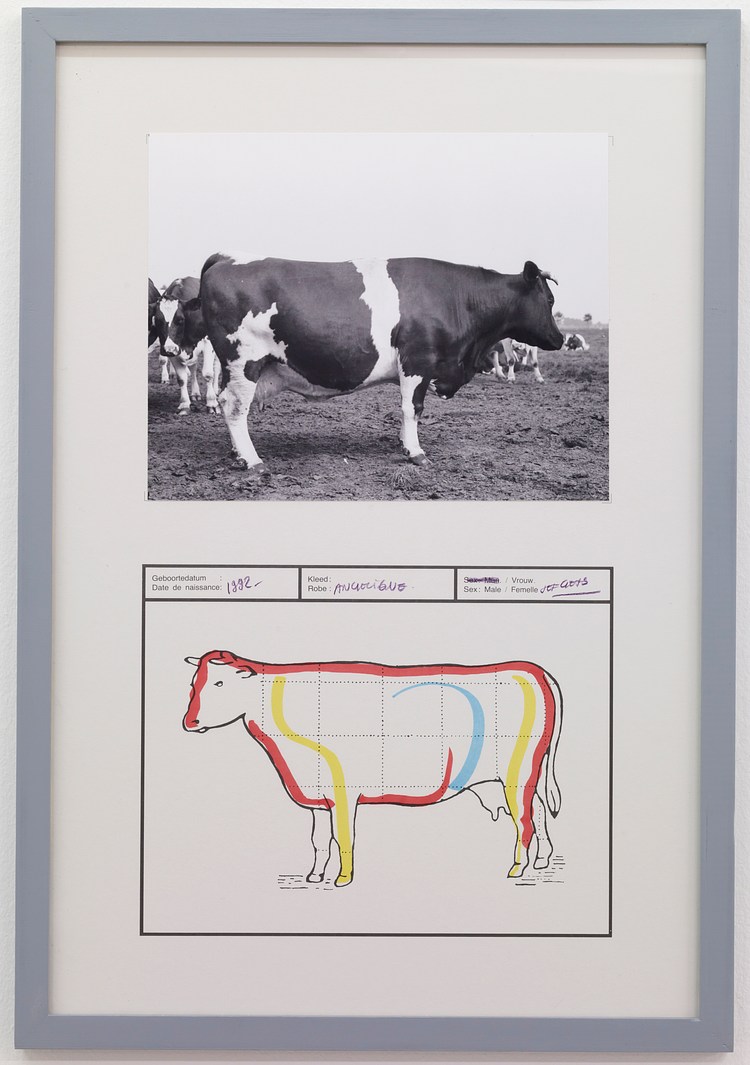 Jef Geys at Air de Paris | Contemporary Art Library