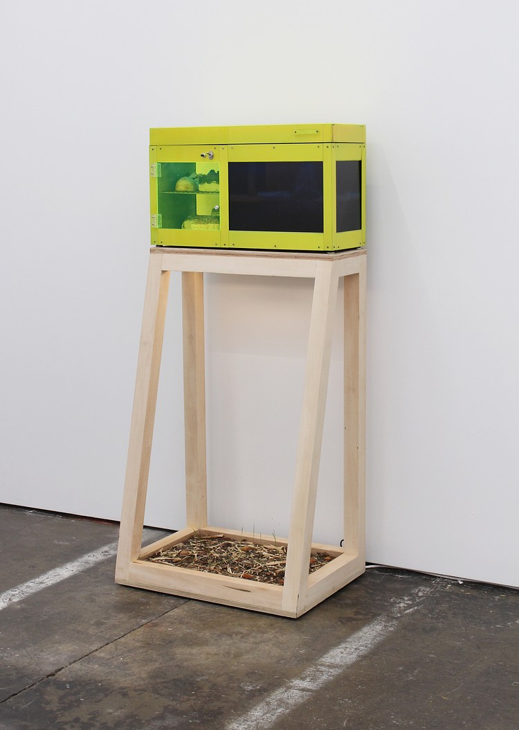 Carl Cheng | Contemporary Art Library