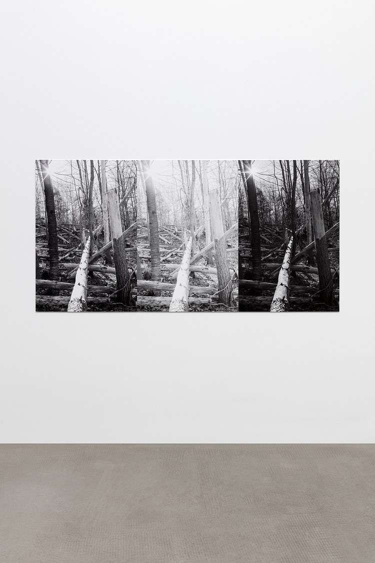 Shannon Ebner at Kaufmann Repetto, Milan | Contemporary Art Daily