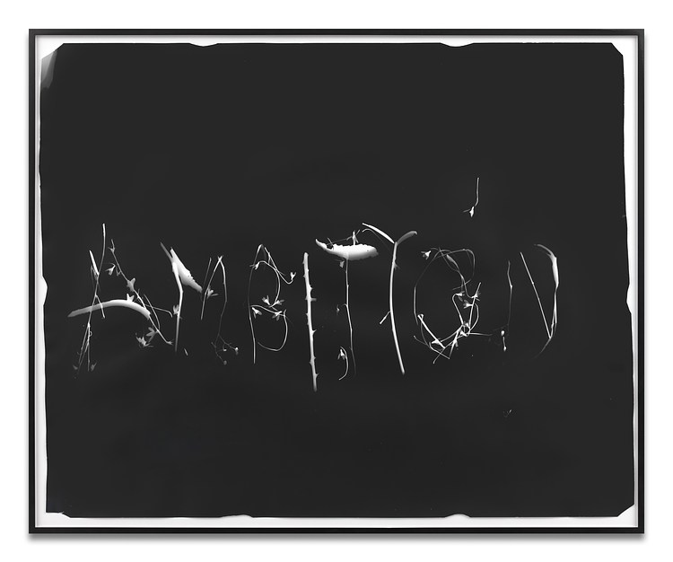 Photography Now and Forever at Mathew, Berlin | Contemporary Art Library