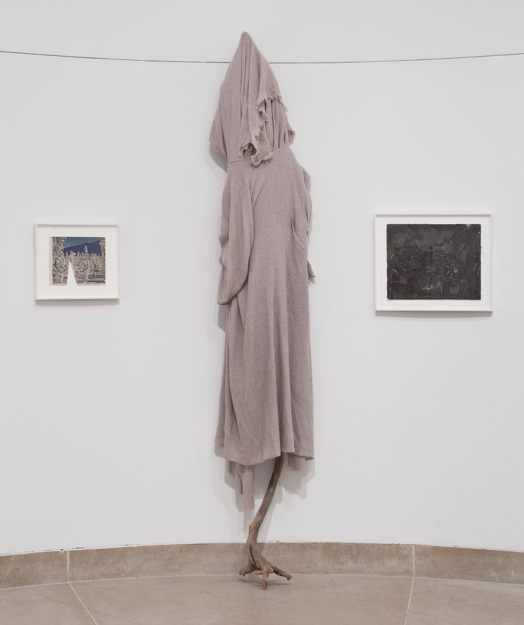 ANOHNI at Hammer Museum, Los Angeles | Contemporary Art Library