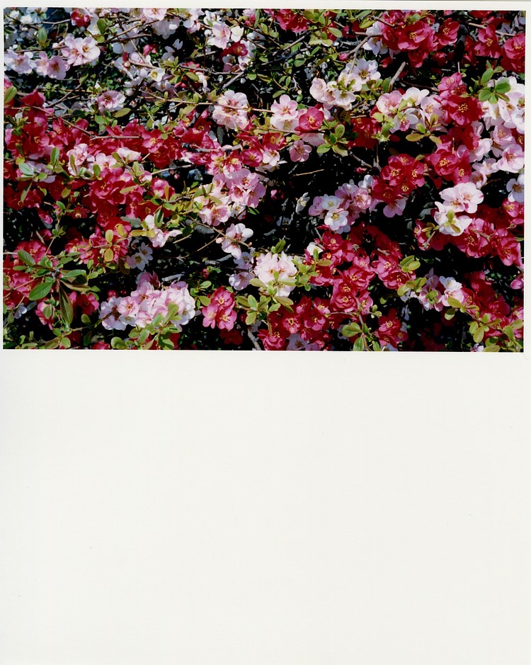 Mie Morimoto at Misako & Rosen, Tokyo | Contemporary Art Library