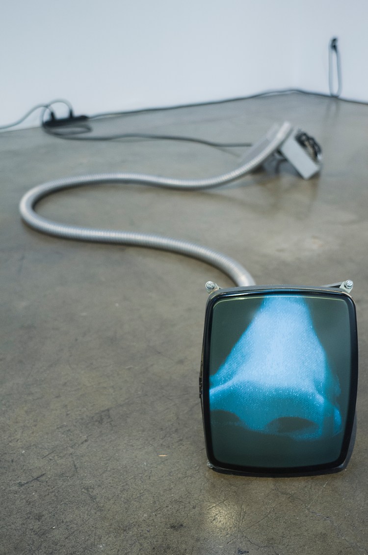 Nathalie Pozzi and Eric Zimmerman at Track 16, Los Angeles ...