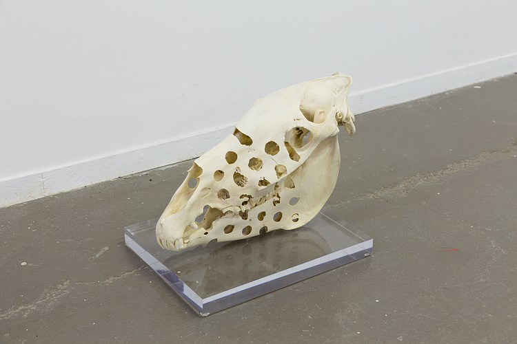 Eric Schmid is an Idiot at Cave, Detroit | Contemporary Art Library