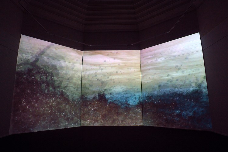 Jeannette Ehlers | Contemporary Art Library