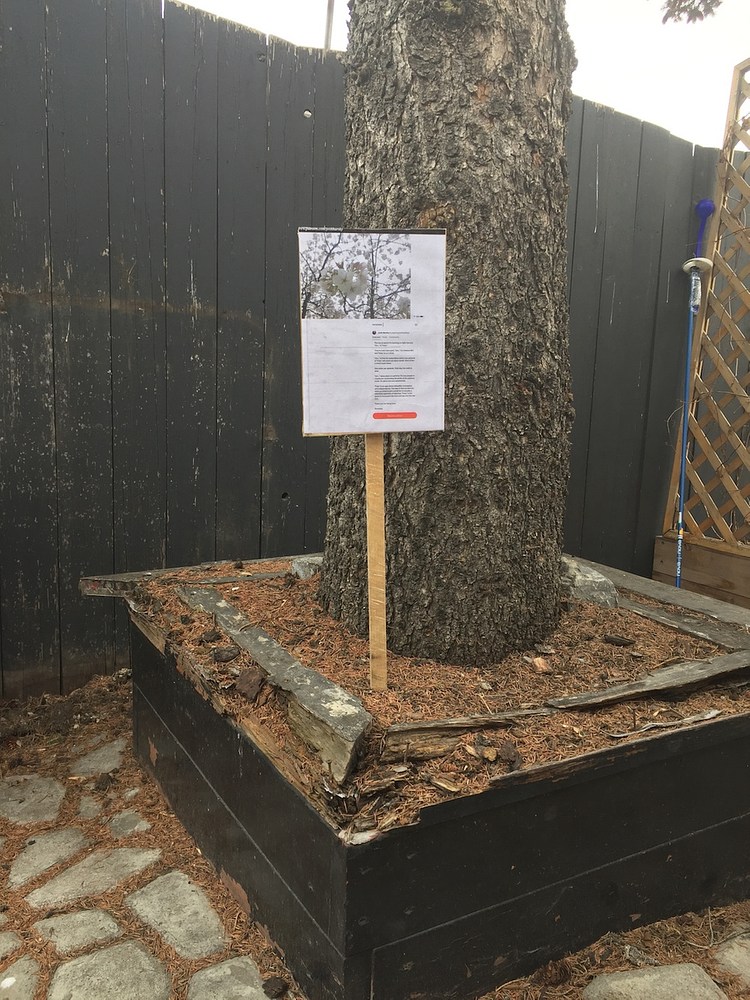 project space 14 at u's, Diamond Valley | Contemporary Art Library