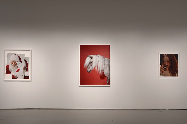 Roe Ethridge | Contemporary Art Library