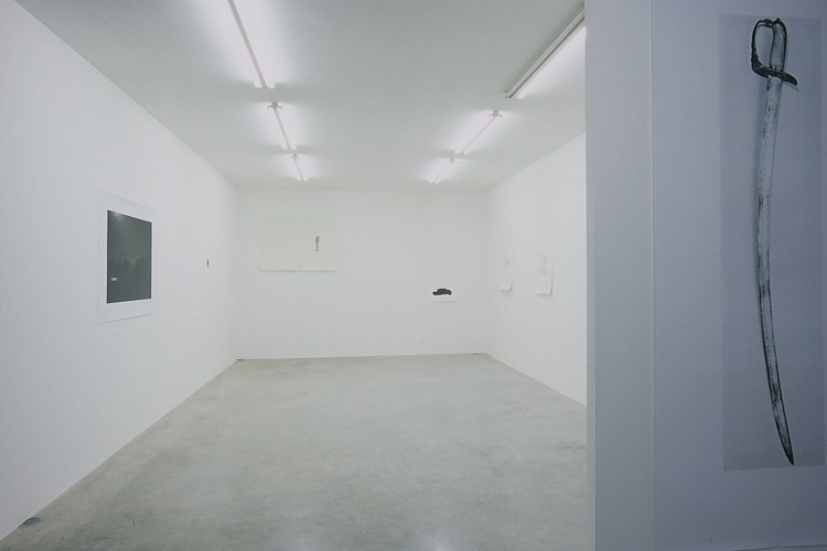 Trisha Donnelly at Air de Paris | Contemporary Art Library