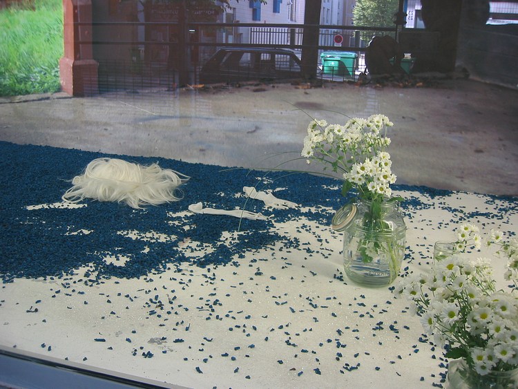 Paula Hayes | Contemporary Art Library