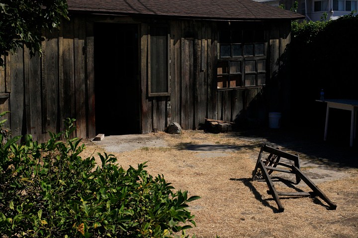 Devendra Banhart | Contemporary Art Library