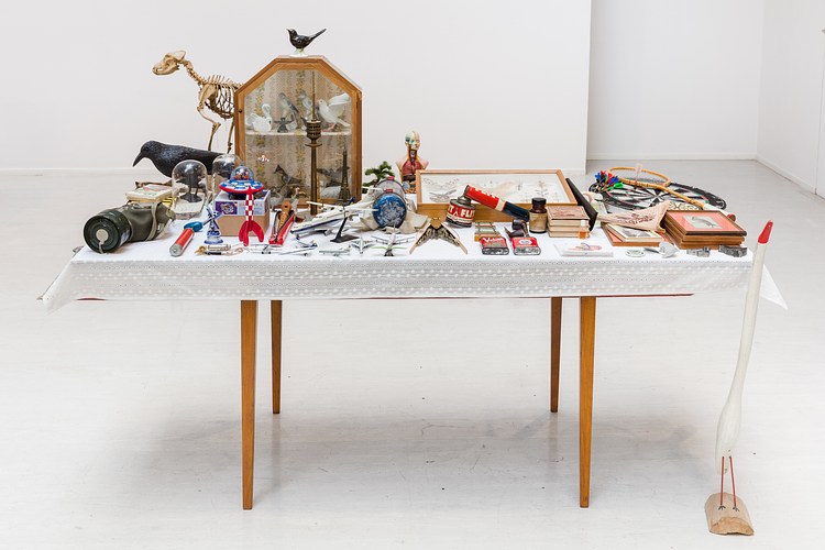 Mark Dion | Contemporary Art Library