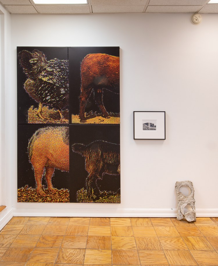 TOES, KNEES, SHOULDERS, HEADS + BUTTS & GUTS at Meredith Rosen Gallery ...