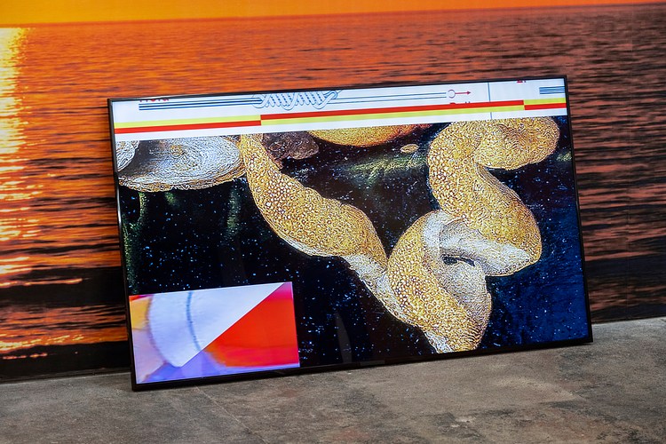 Damien Roach | Contemporary Art Library