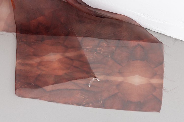 Sara Hubbs | Contemporary Art Library