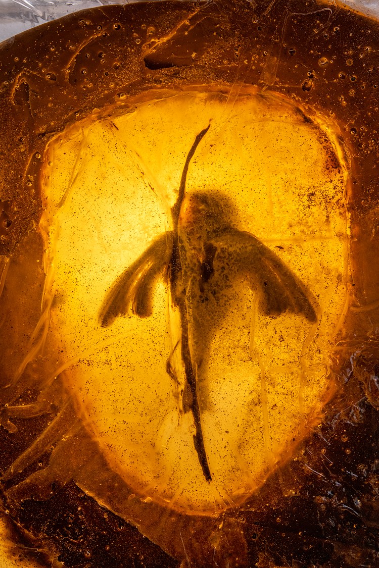 Bri Williams at Progetto, Lecce | Contemporary Art Library