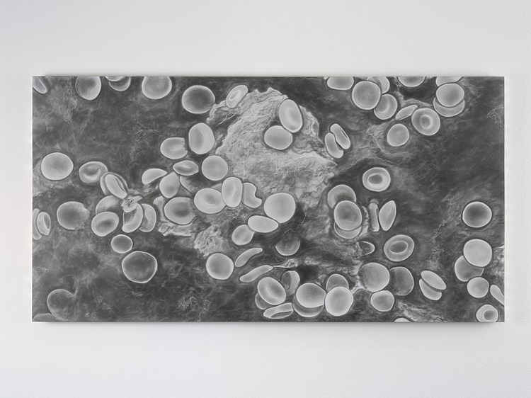 Juan Antonio Olivares at Bernheim Gallery, Zurich | Contemporary Art ...