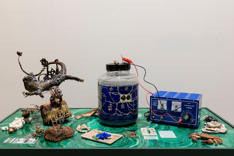 Candice Lin | Contemporary Art Library