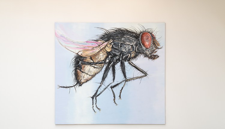 Jana Euler | Contemporary Art Library