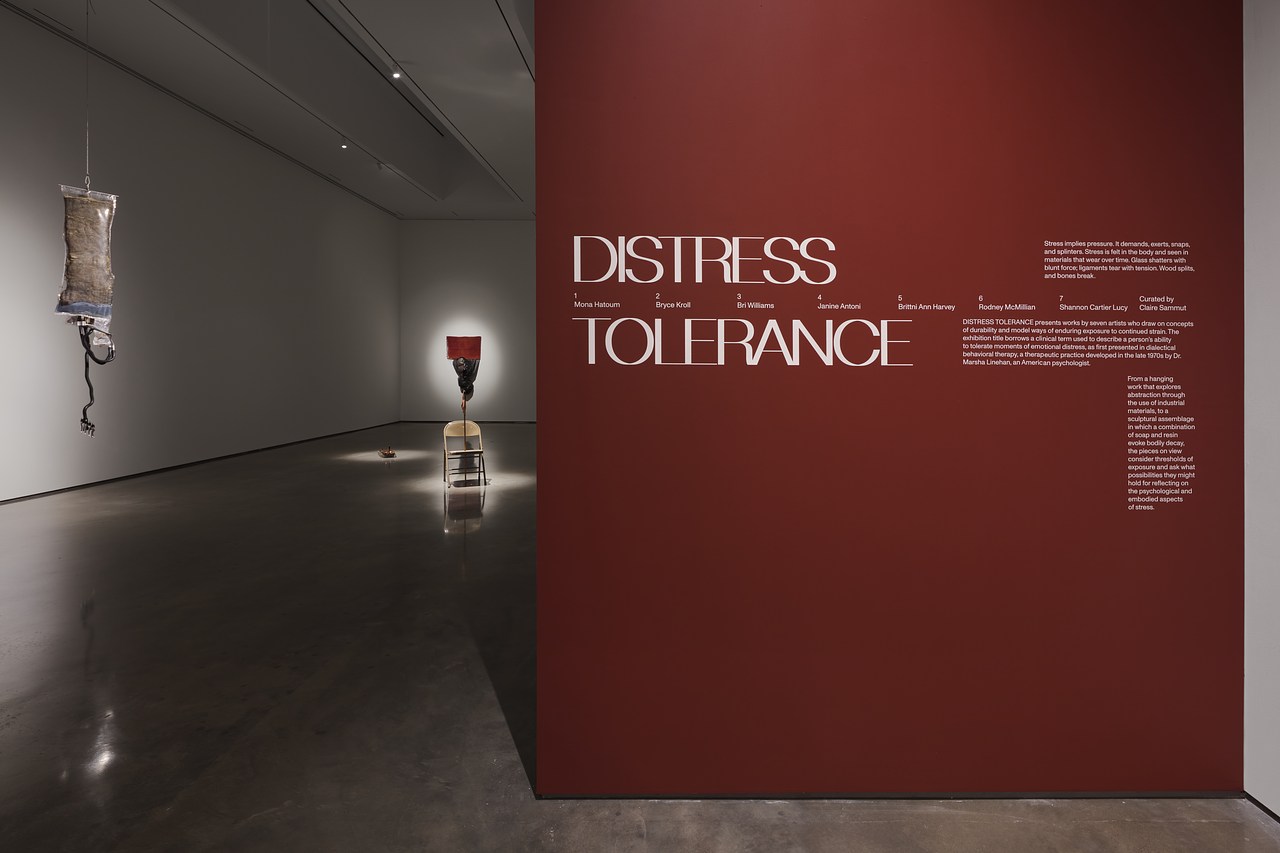 Distress Tolerance Art