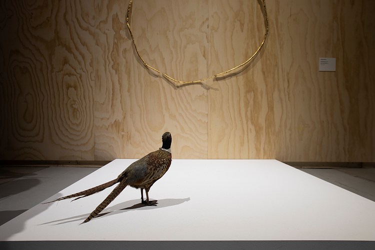 Gabriel Rico at The Arsenale at the Venice Biennale | Contemporary Art ...