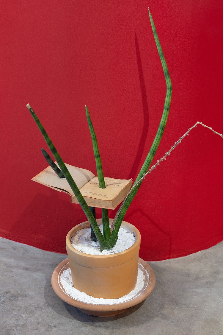 Paulo Nazareth at Pivô, São Paulo | Contemporary Art Library