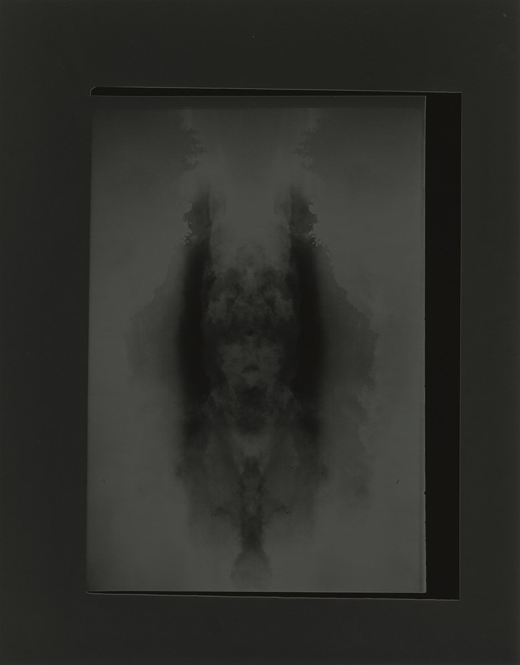 Trisha Donnelly | Contemporary Art Library