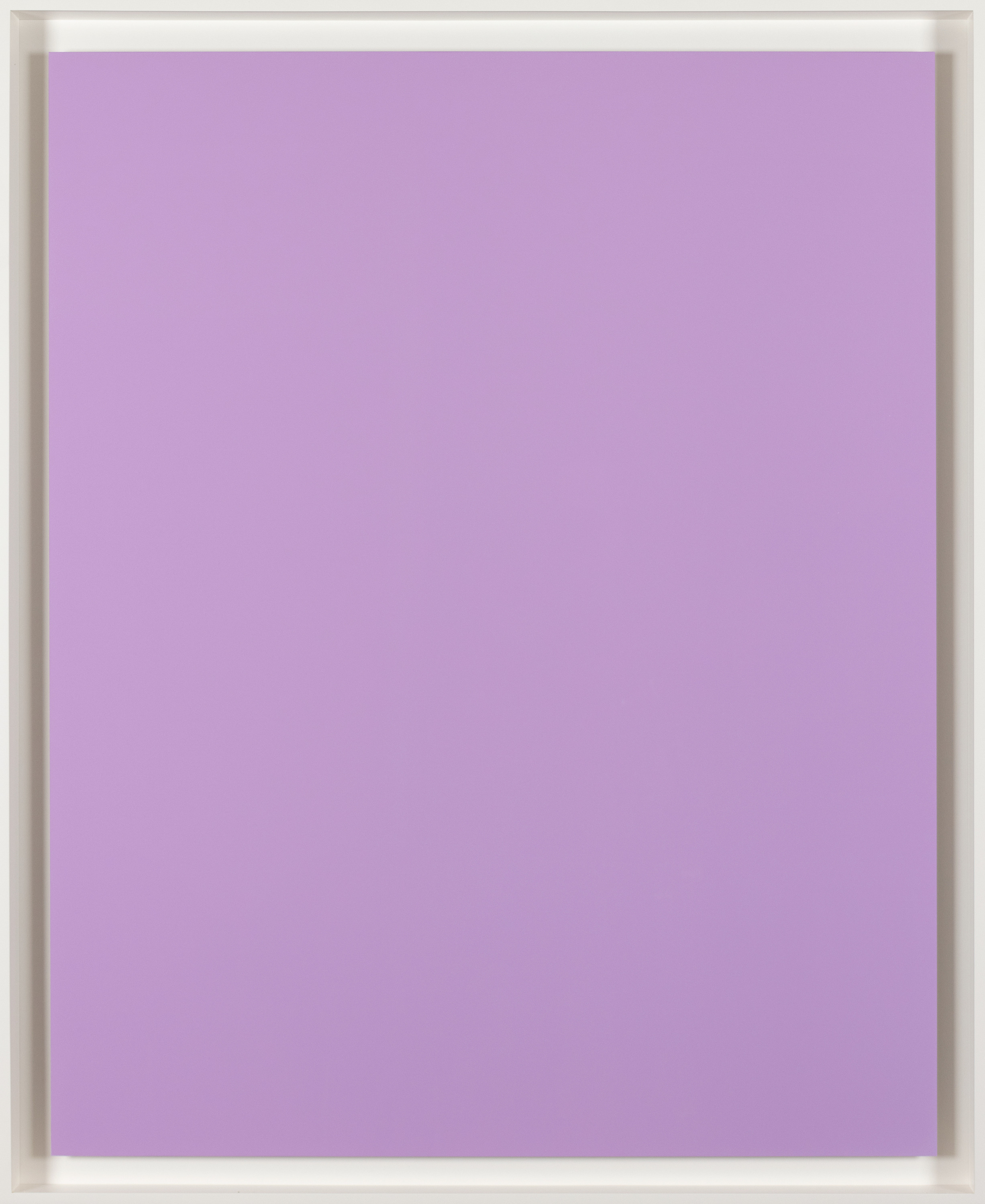 Light Purple Square