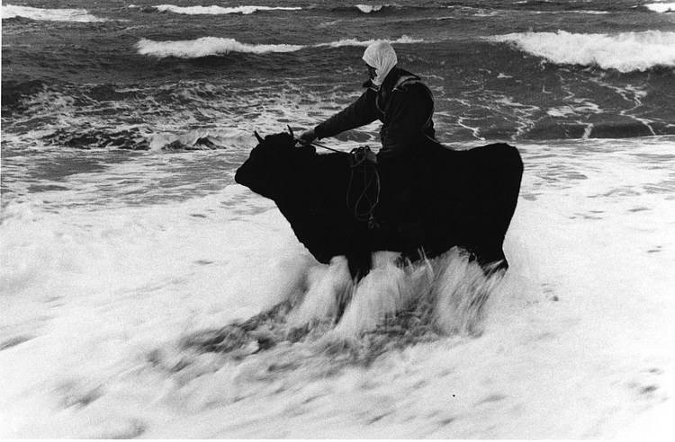 Ichiro Kojima at Taka Ishii Gallery amanaTIGP, Tokyo | Contemporary Art ...