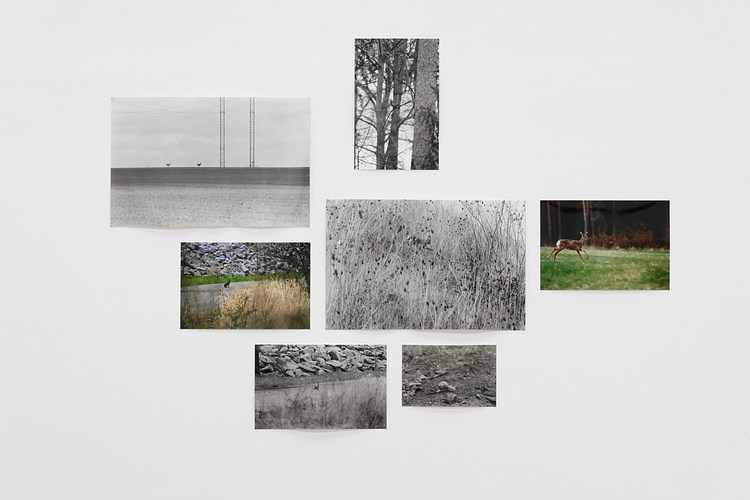 Lukáš Jasanský and Martin Polák at Fait Gallery, Brno | Contemporary ...