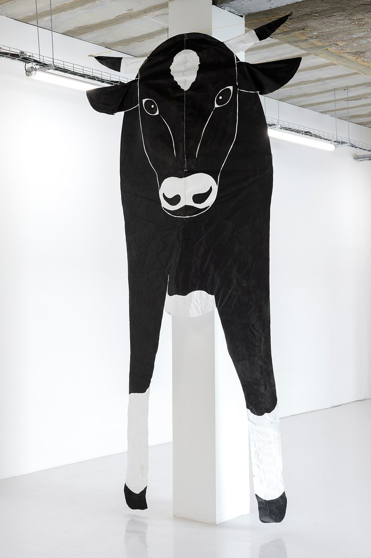 Shimabuku | Contemporary Art Library