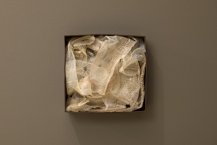 Thomas Tilly | Contemporary Art Library