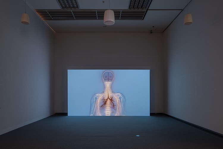 Kate Cooper | Contemporary Art Library