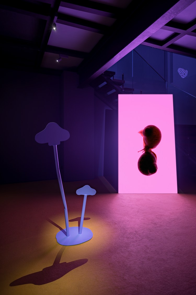 Tiago Baptista | Contemporary Art Library