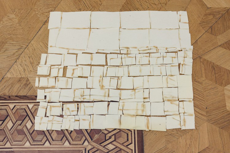 Olga Balema at Croy Nielsen, Vienna | Contemporary Art Library