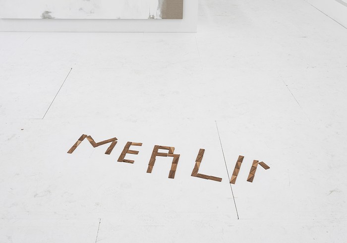 Merlin Carpenter at Reena Spaulings Fine Art, New York | Contemporary ...