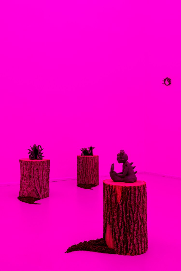 Siggi Sekira | Contemporary Art Library