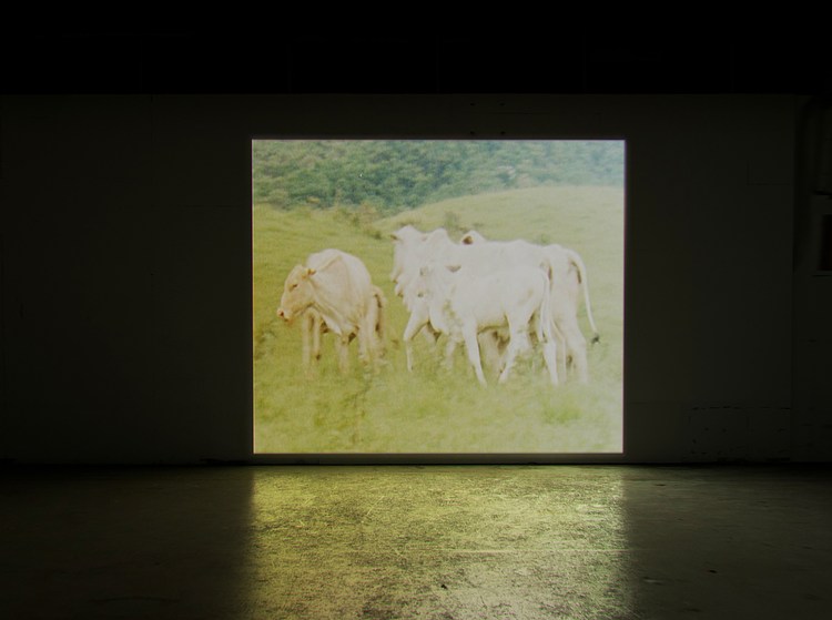 Ben Cullen Willimas at FORM Space, Amsterdam | Contemporary Art Library