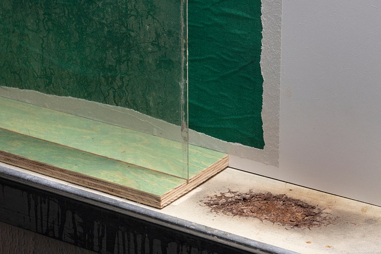 Jan van Oordt | Contemporary Art Library
