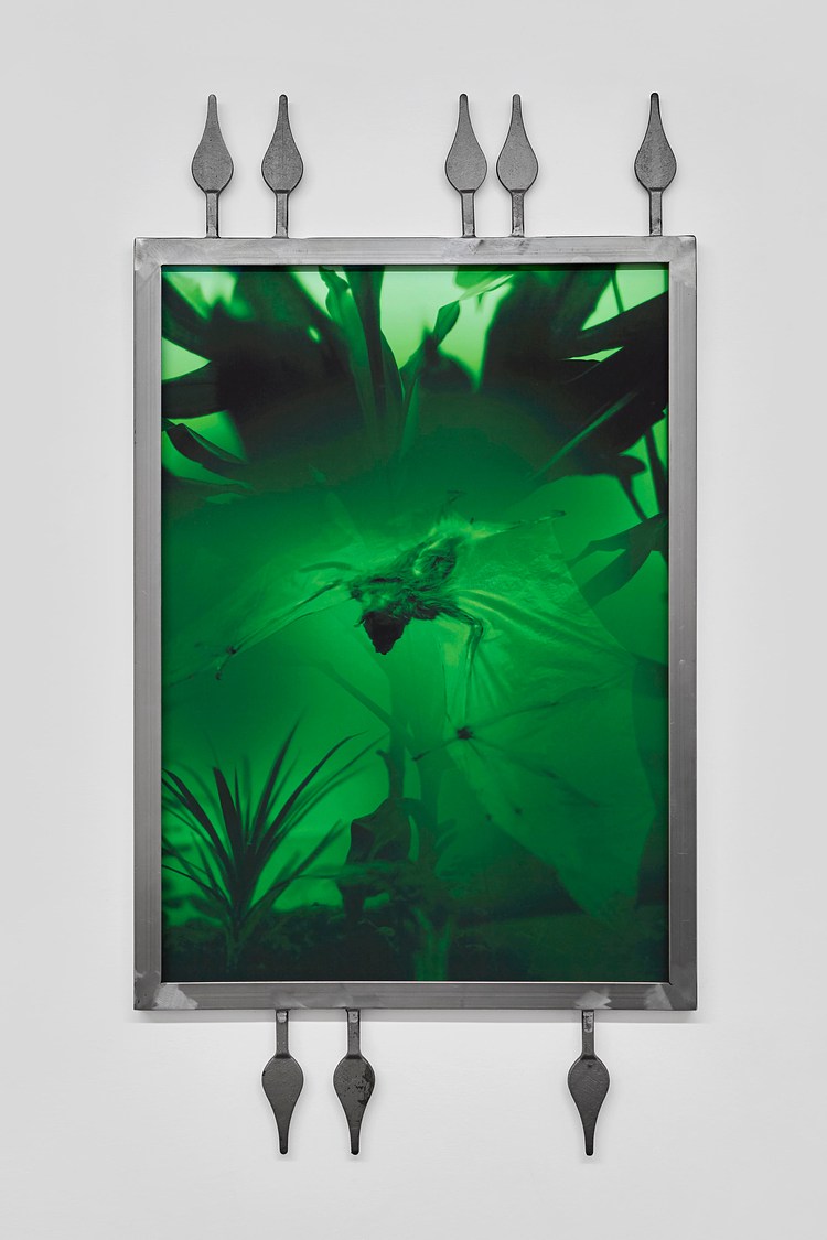 Andro Eradze | Contemporary Art Library