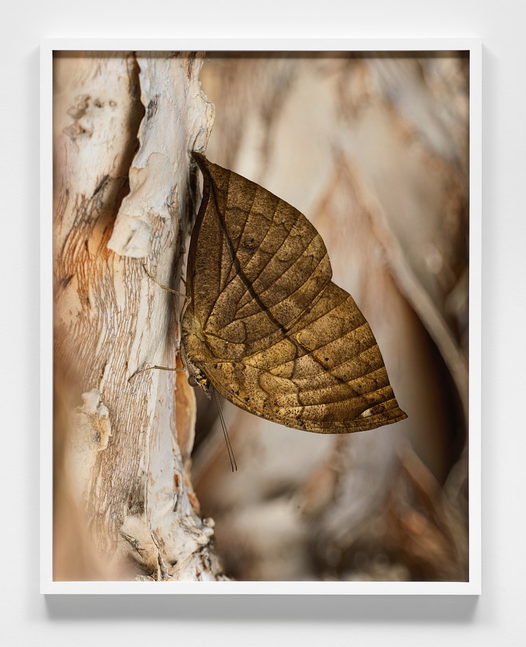 Throughline at Bureau, New York | Contemporary Art Library