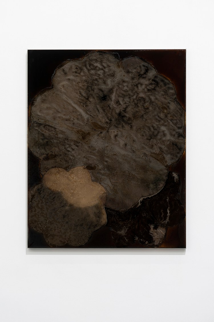 Brigham Baker | Contemporary Art Library