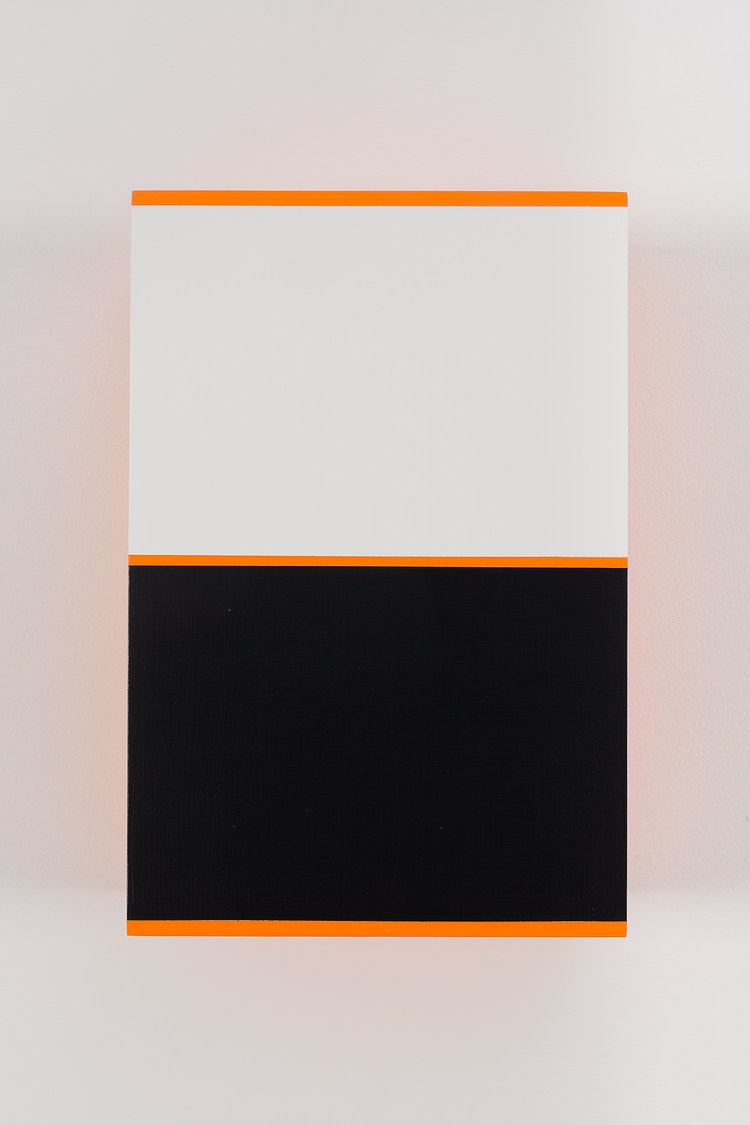 Richard Roth | Contemporary Art Library