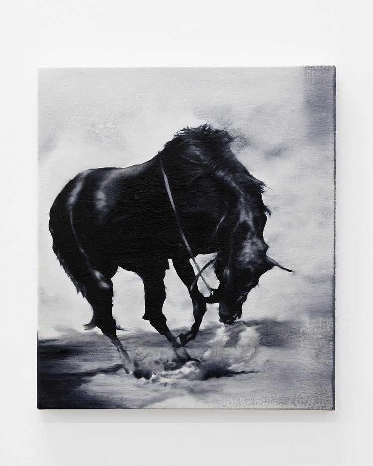 Michael Thompson | Contemporary Art Library