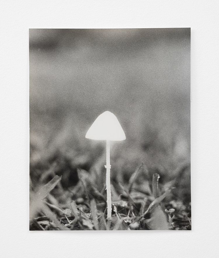 Jochen Lempert | Contemporary Art Library