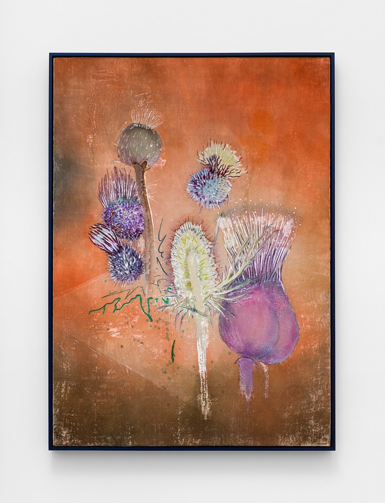 Travis Boyer | Contemporary Art Library