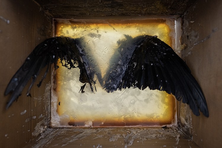 Bri Williams at Dvir Gallery, Paris | Contemporary Art Daily